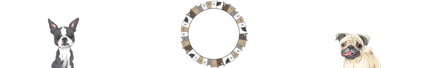 About Cuddla - Making life much more enjoyable with your dog